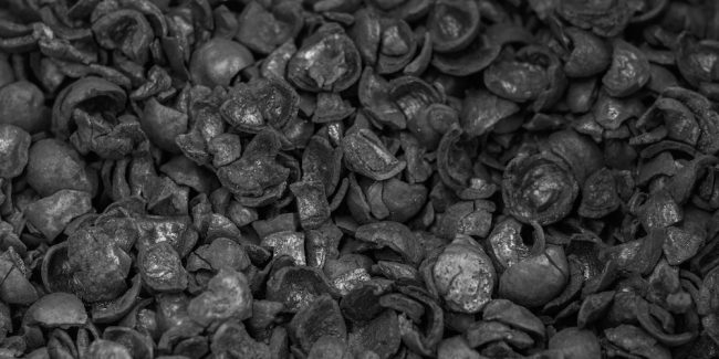 Rethinking waste: how macadamia shells could help reduce carbon ...