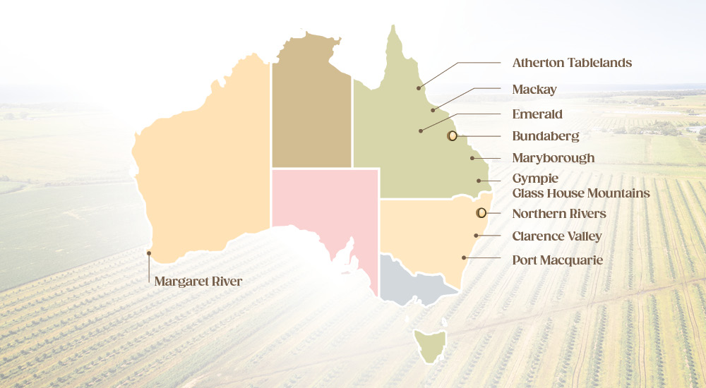 5 surprising facts about Australia’s 2 main macadamia growing regions ...